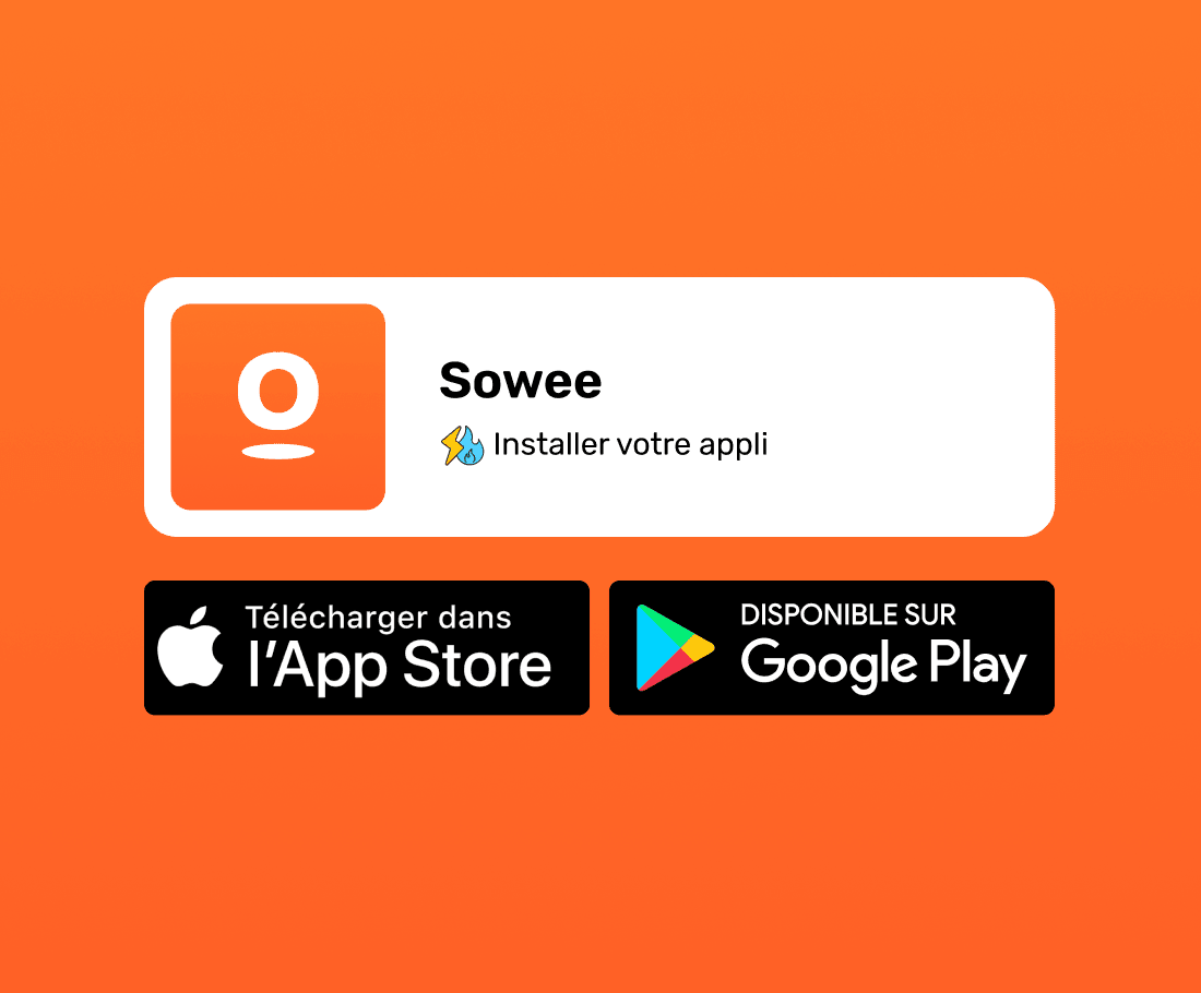 Offre Station Sowee - Installation par un pro incluse | Sowee
