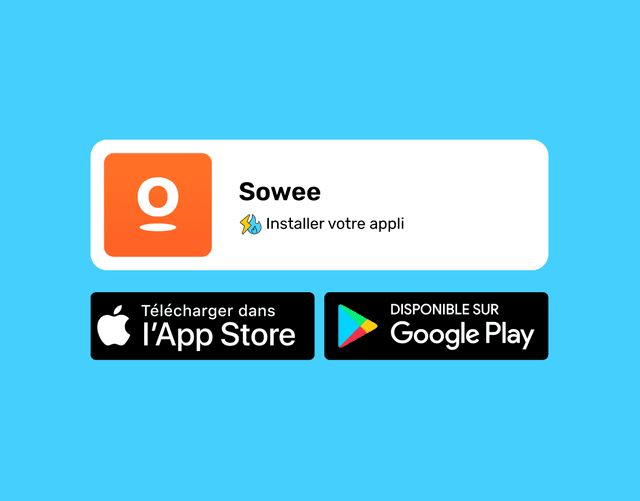 Offre Station Sowee - Installation par un pro incluse | Sowee