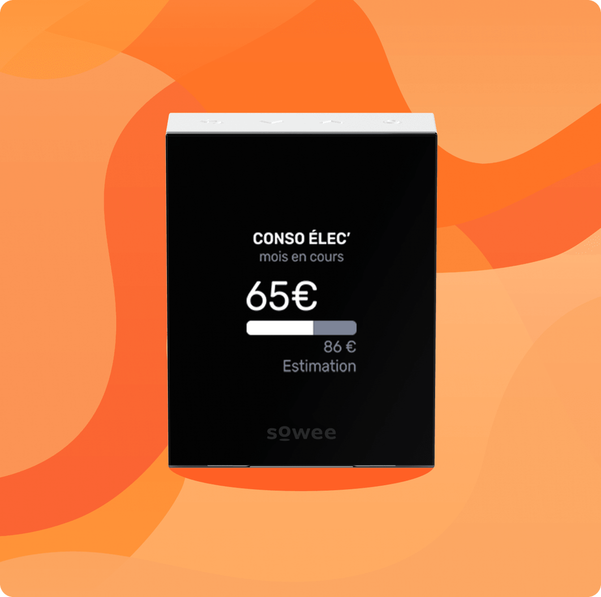 La Station Sowee - Pilotage du Chauffage et Économies | Sowee