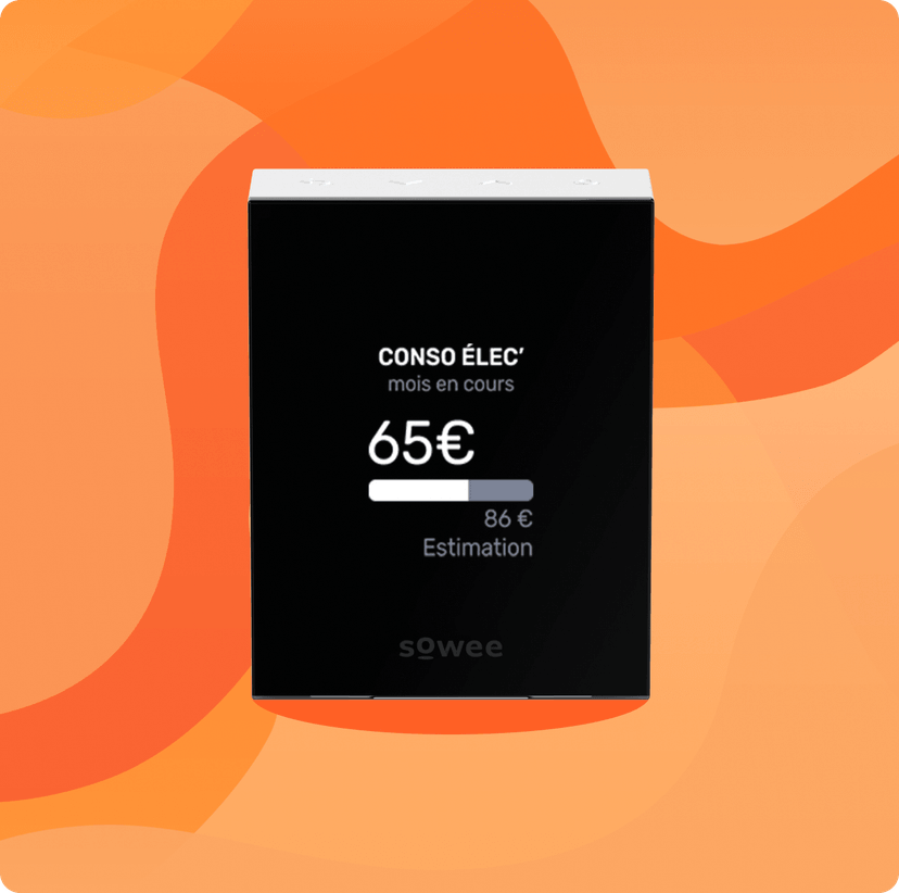 La Station Sowee - Pilotage du Chauffage et Économies | Sowee